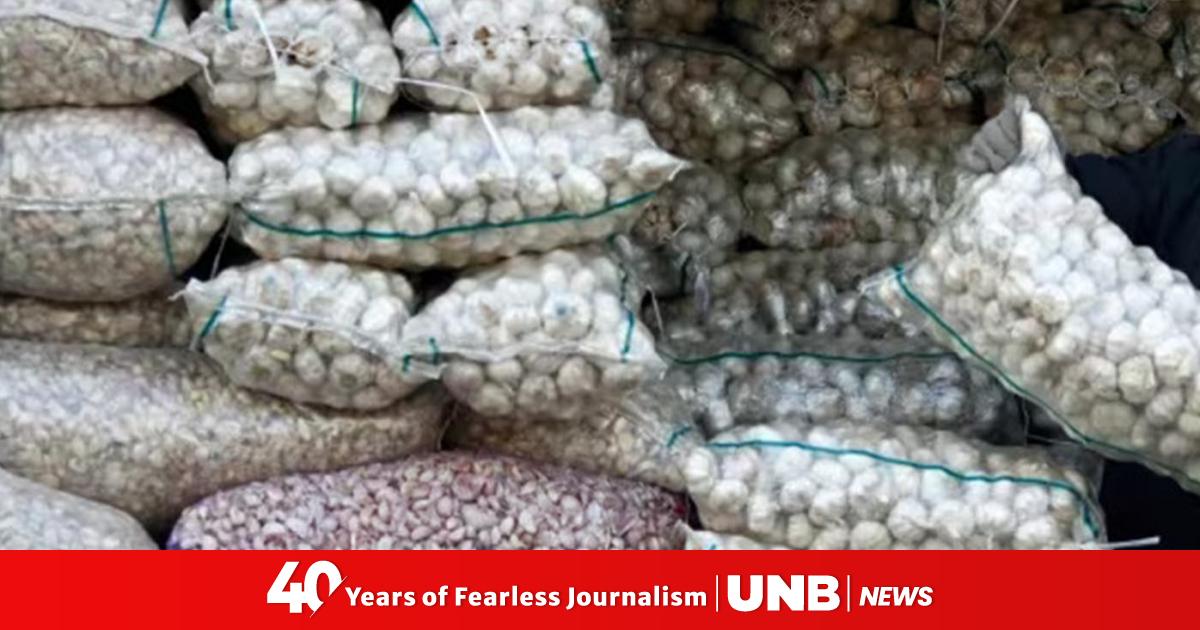 58 metric tonnes of garlic imported through Mongla Port for first time