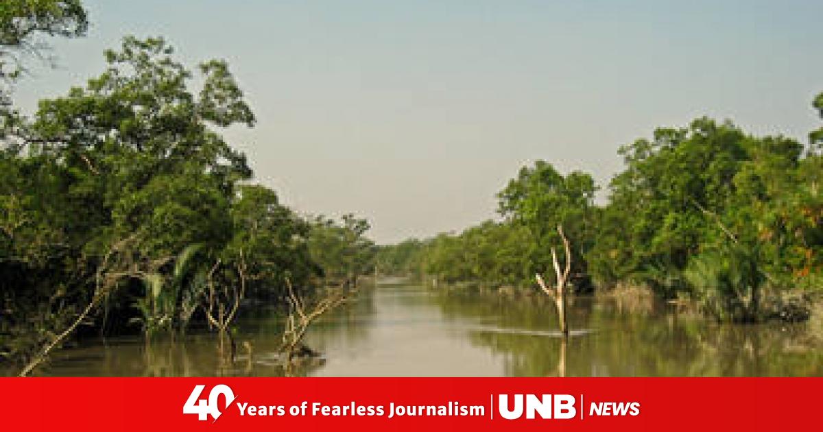 New fire breaks out in Sundarbans