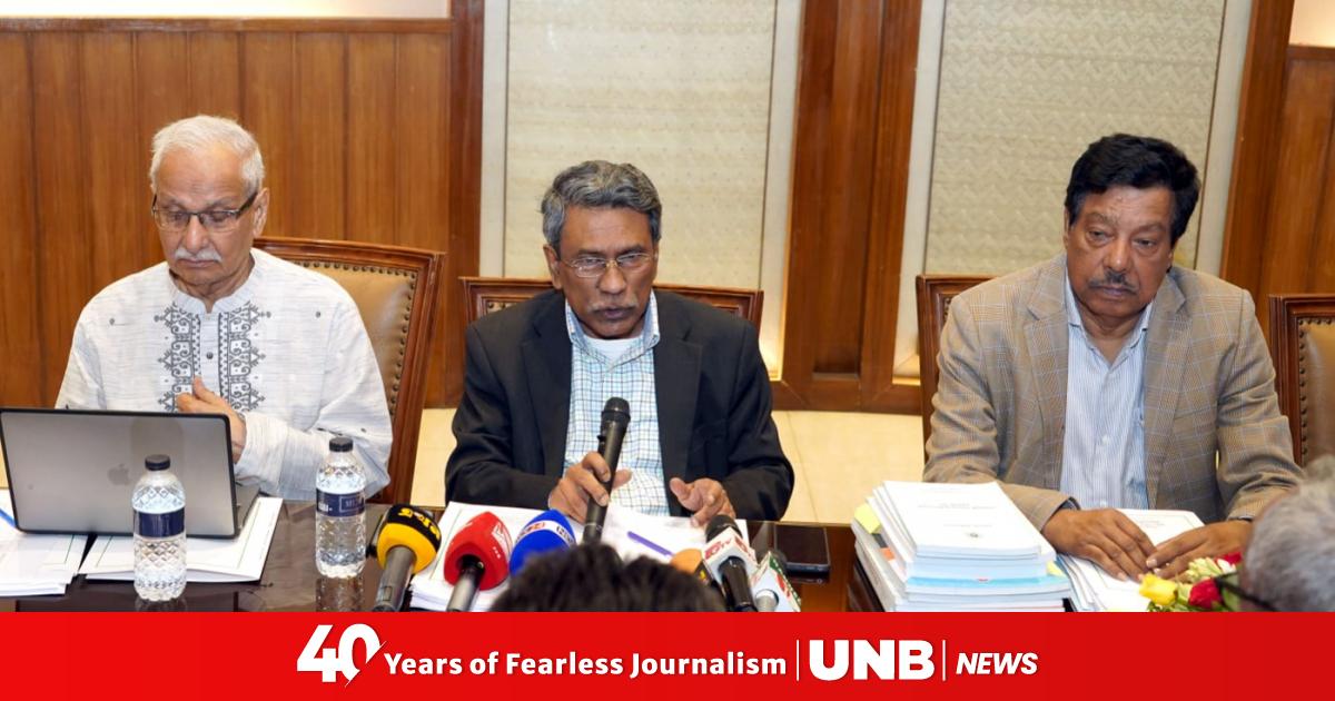 Flee of 'fascist ruler' a primary democratic victory: Ali Riaz