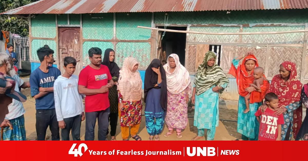 India's push-ins are "well-planned and despicable": BGB DG