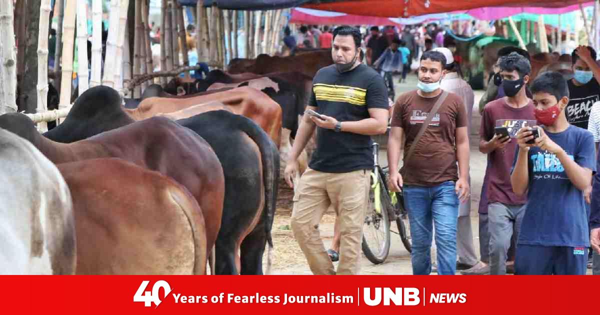 Self-Reliance in Sacrificial Animals: Govt urged to sustain livestock gains