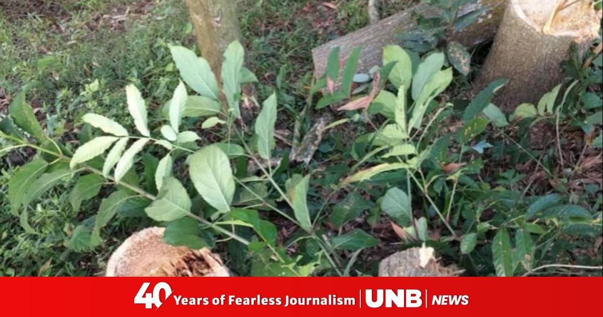 Sabotage attempt on Dhaka-Chattogram rail tracks foiled in Feni