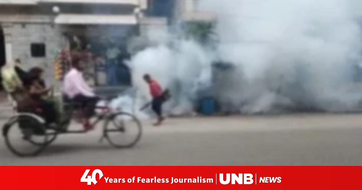 Dengue: Death toll reaches 391 this year