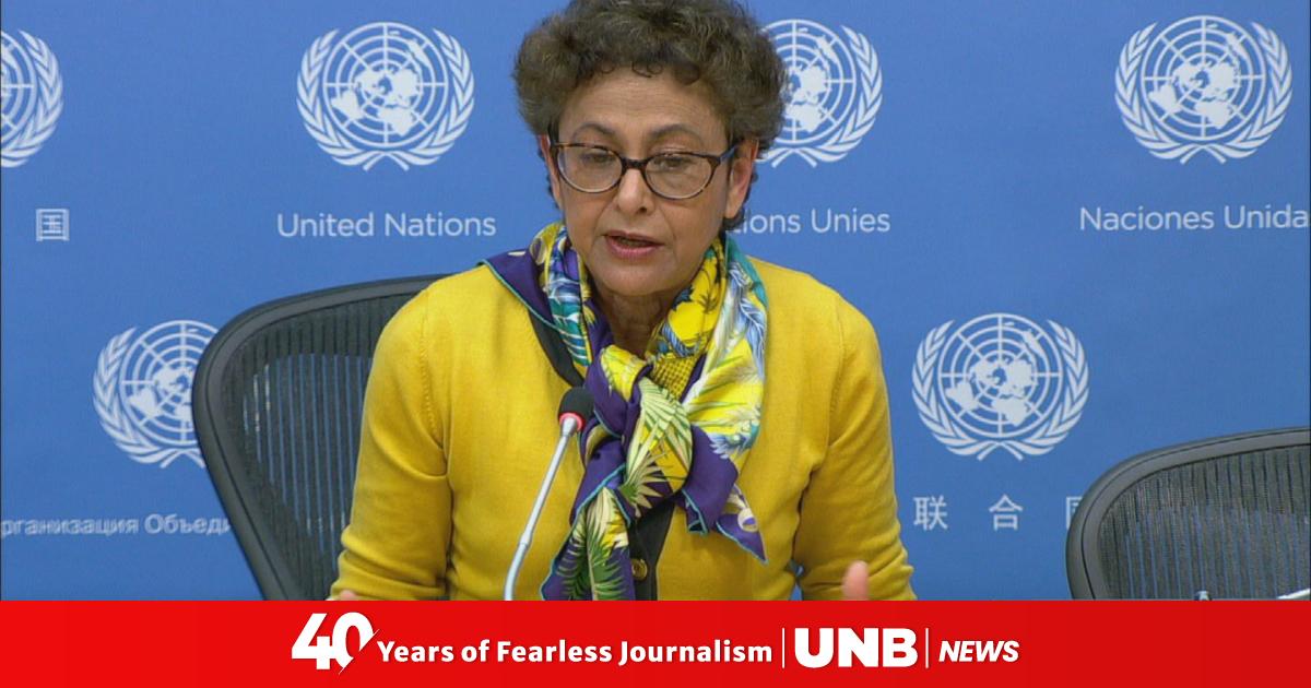 UN expert alarmed by violent attacks on Daily Star, Prothom Alo