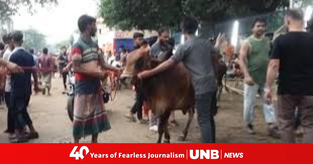 No shortage of sacrificial animals for Eid-ul-Azha: Livestock Minister