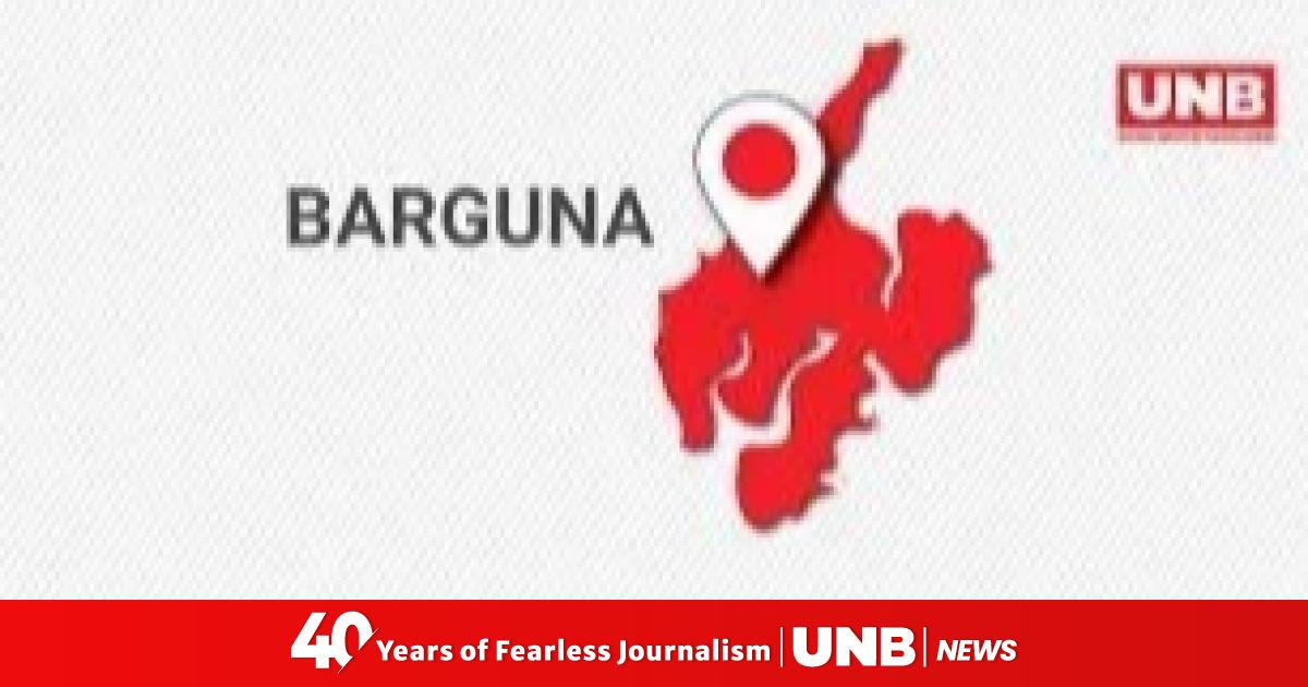 Headless body recovered from canal in Barguna