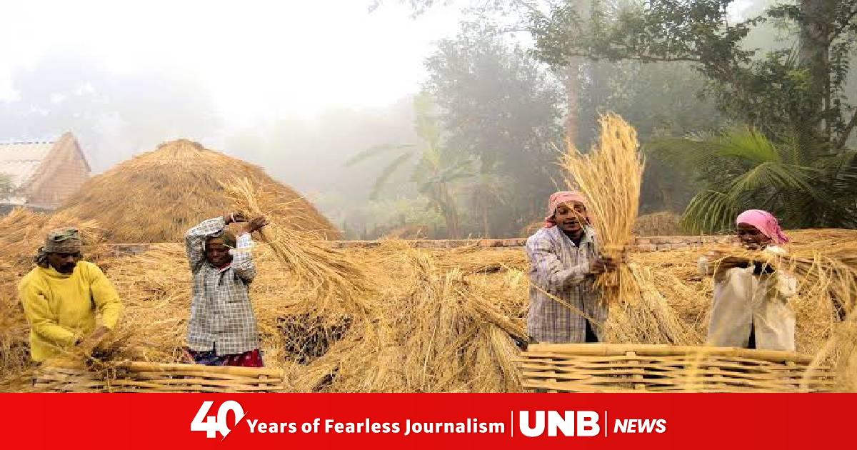‘Nabanna Utsab’ being celebrated