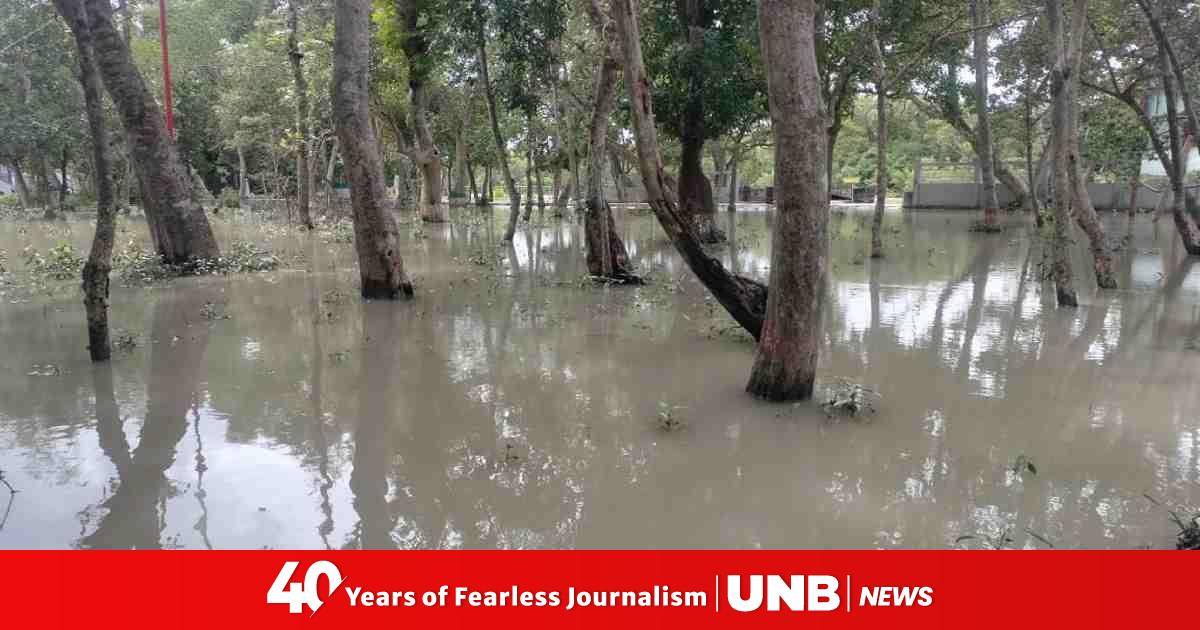Low pressure in Bay: Tidal surge inundates parts of the Sundarbans