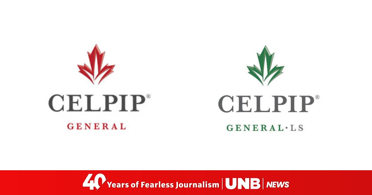 CELPIP Test Guide: Format, Registration, Pros and Cons 574fdx6236