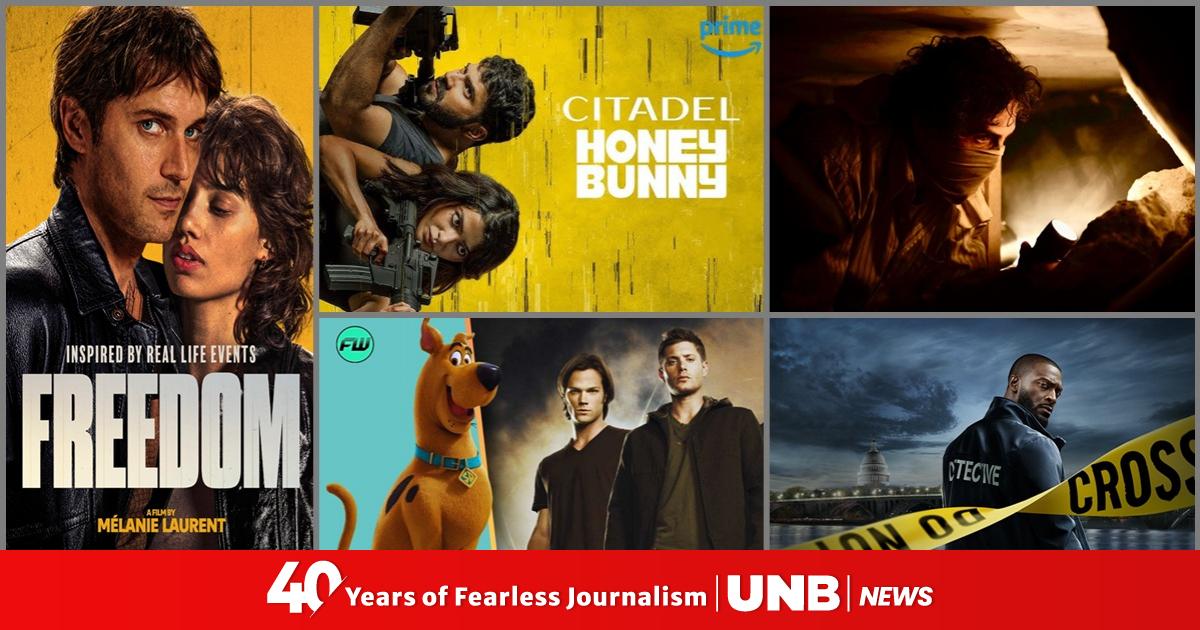 Amazon Prime Originals List for November 2024: Exclusive Shows, Films ...