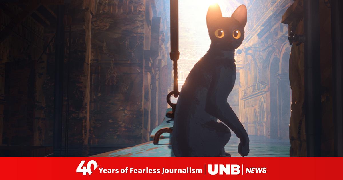 'Flow’ crosses $50 million globally, becomes top indie animated Oscar hit
