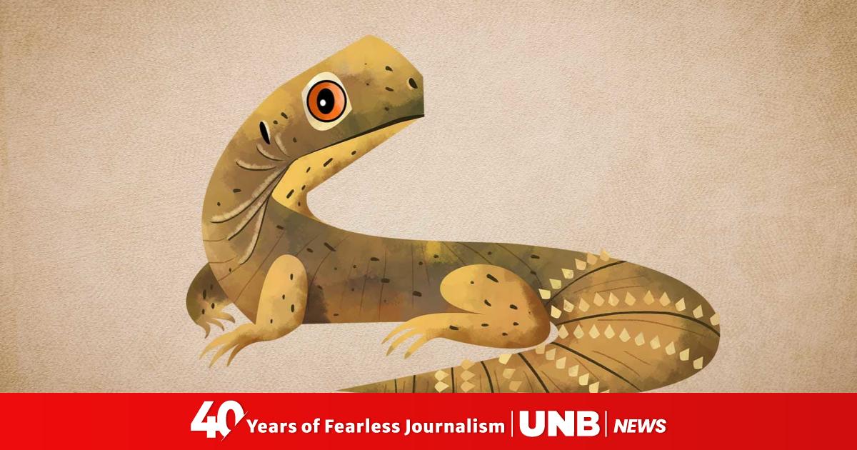 Sanda Lizard: A fascinating reptile of the desert