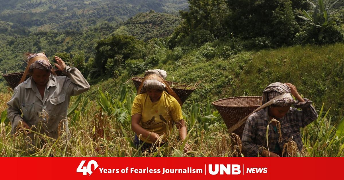 Jhum cultivation: An integral part of life in the hills