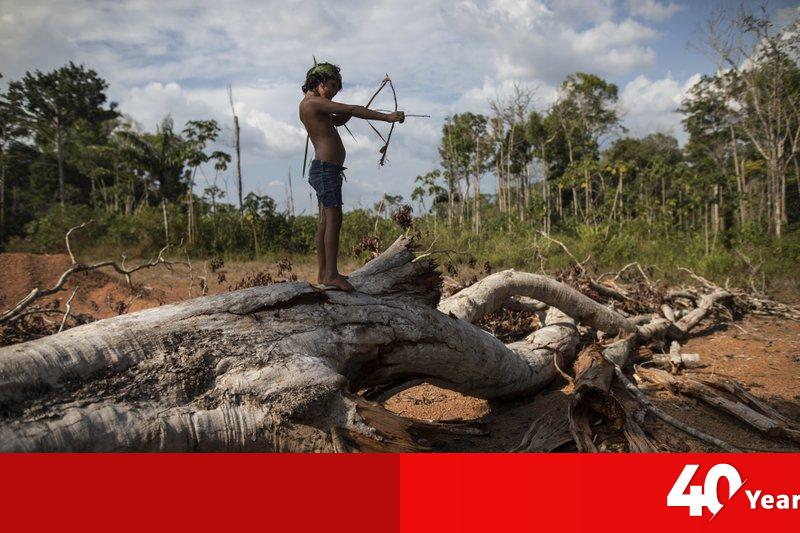 Arrows and smartphones: daily life of Amazon Tembe tribe