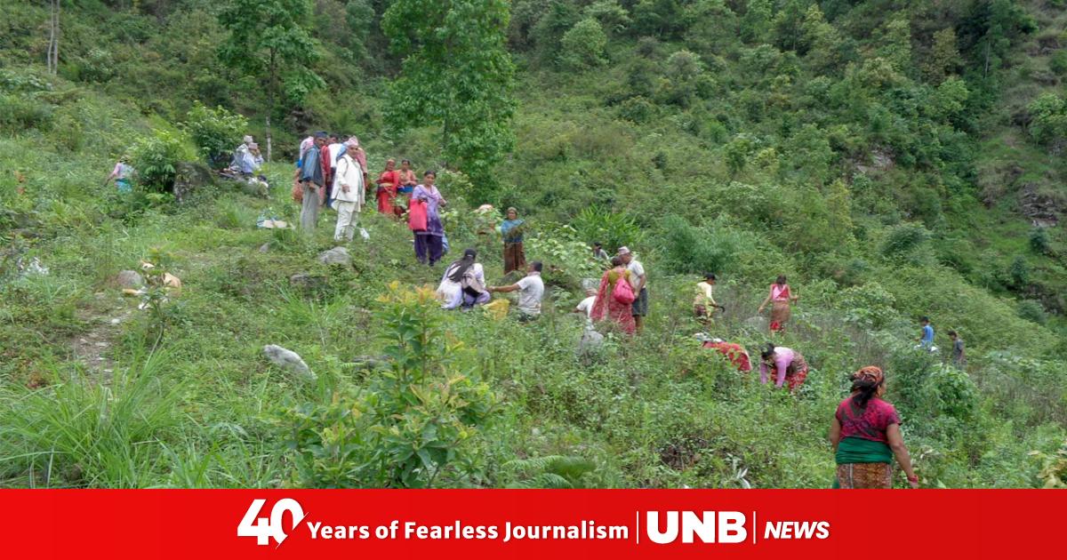 Empowerment of women through Collaborative Forest Management (CFM)