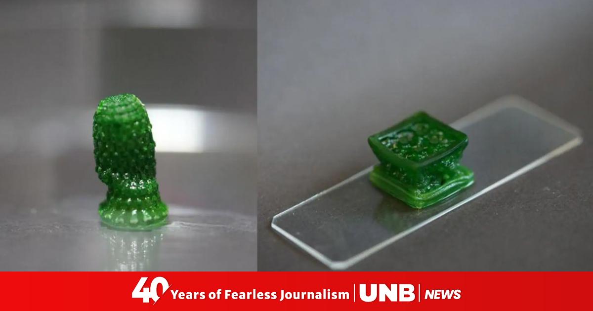 New living material developed to absorb CO2