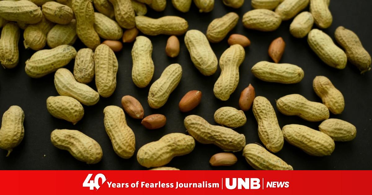 Early peanut introduction helps 60,000 children avoid allergies, study ...
