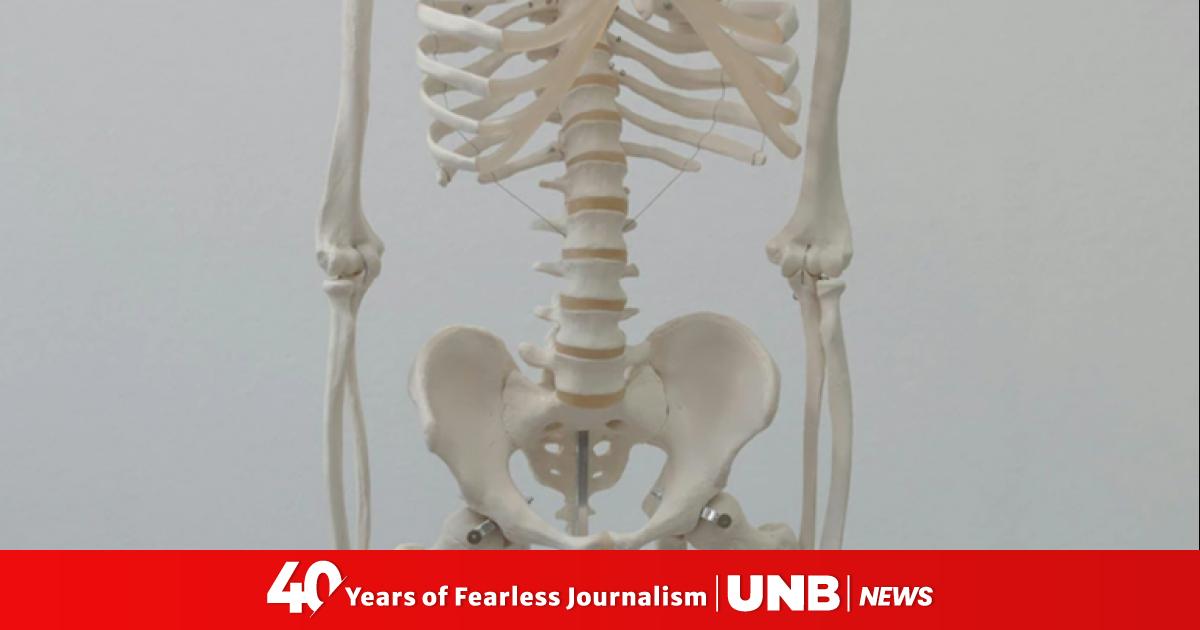 Bulgaria finds 6,000-year-old man who survived lion attack