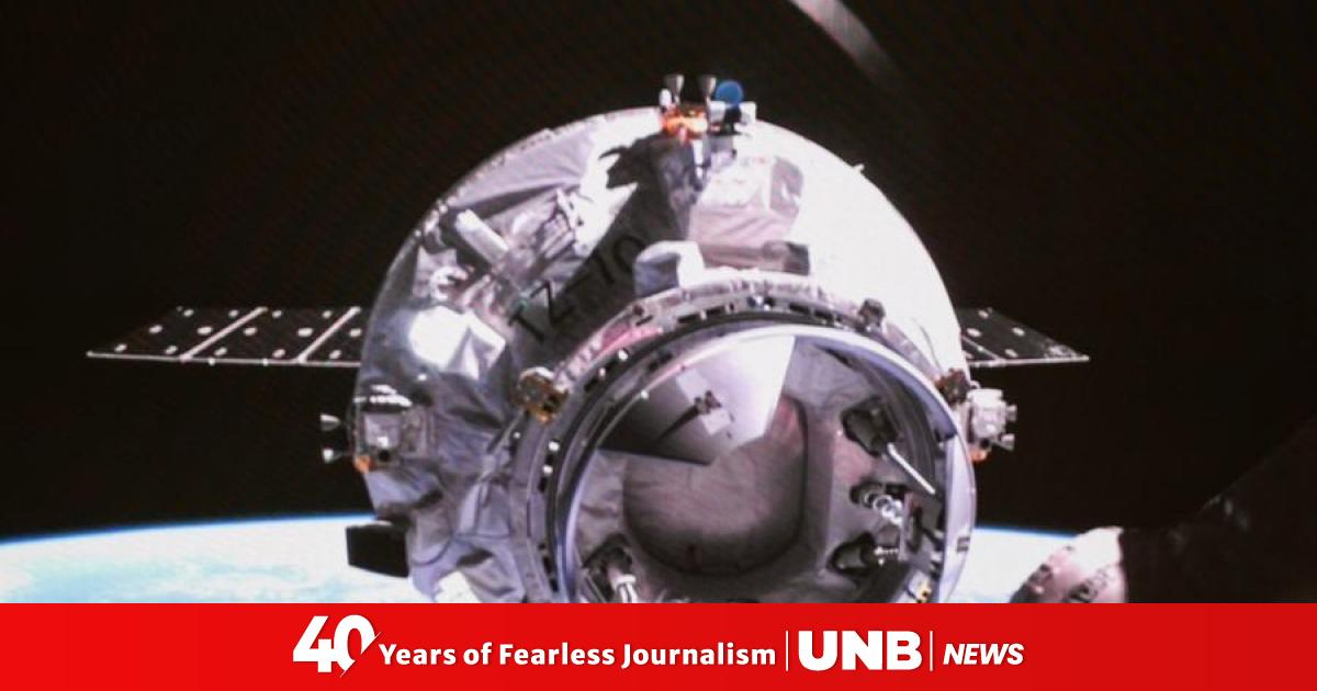 China studies mouse embryos in space to explore early life development