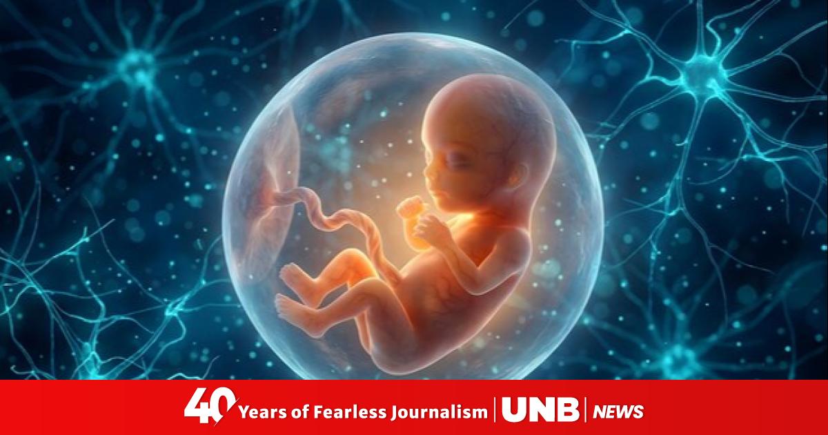 Chinese scientists uncover key reason why many IVF embryos stop developing