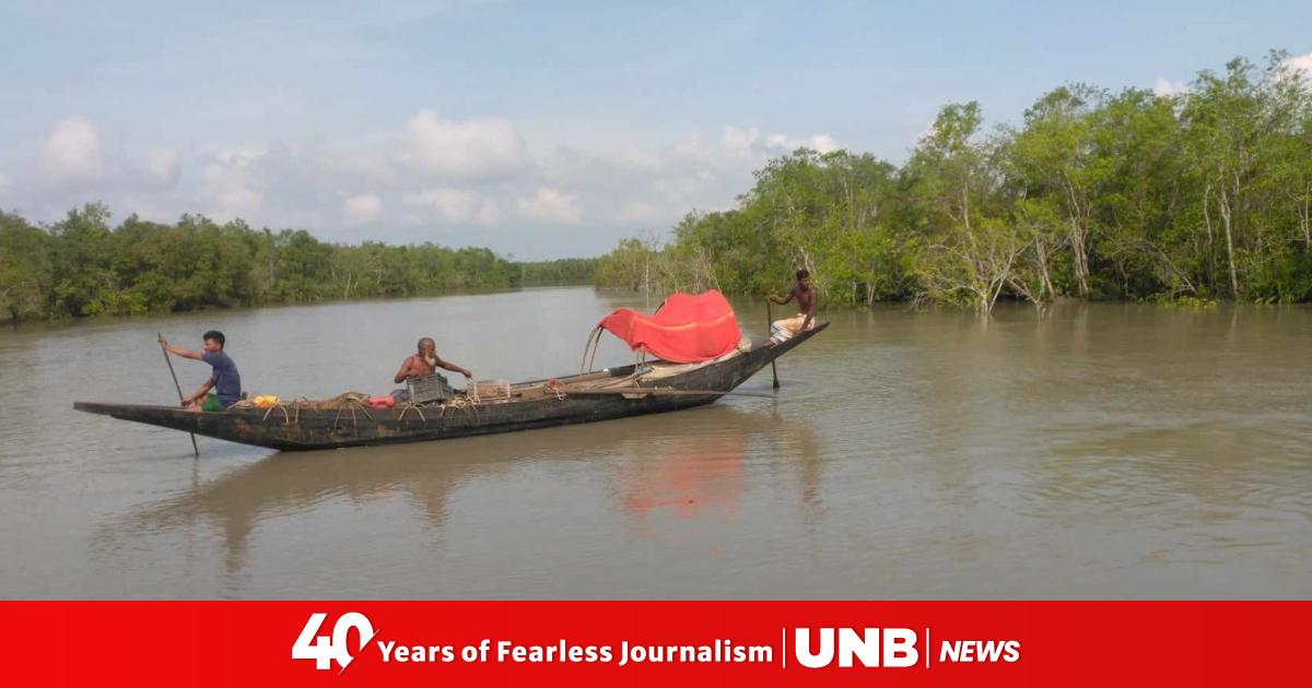 Sundarbans Day: World's largest mangrove forest draws growing number of ...