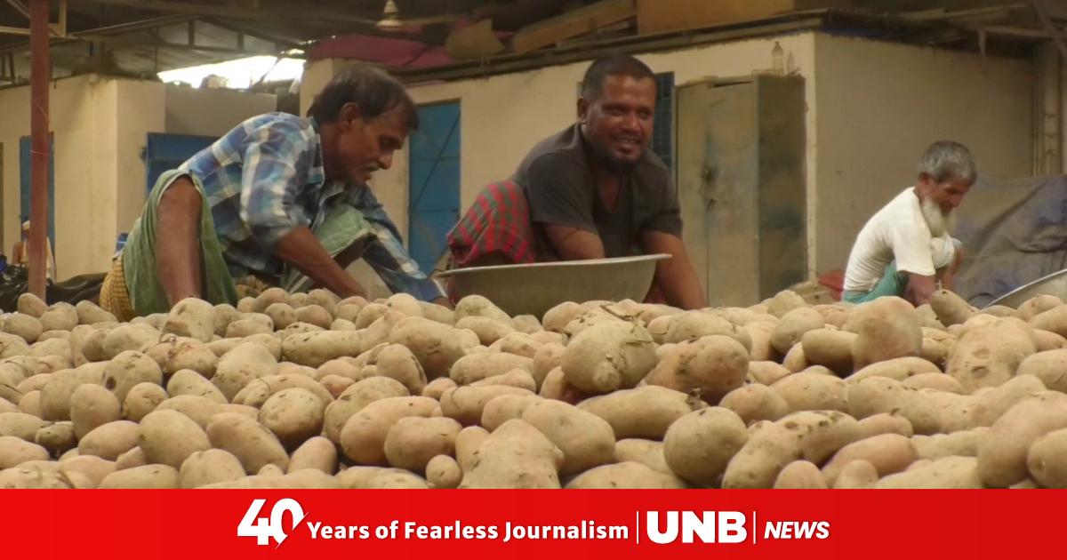 Delays push up cost of seed potato project to Tk 1,138.74 crore