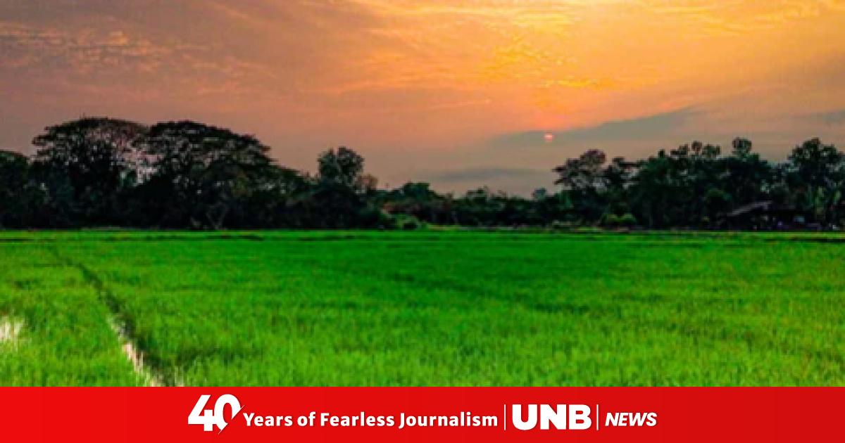 Will digitised land services finally ease public suffering?