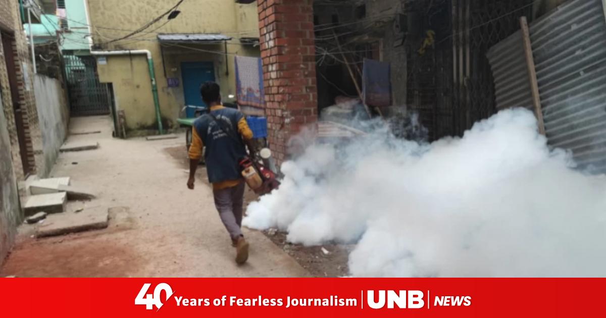 Dengue rings alarm amid measles crisis: Is Bangladesh prepared for ...