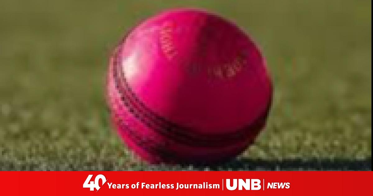 To counter bad light pause in Test, ICC to trial pink ball