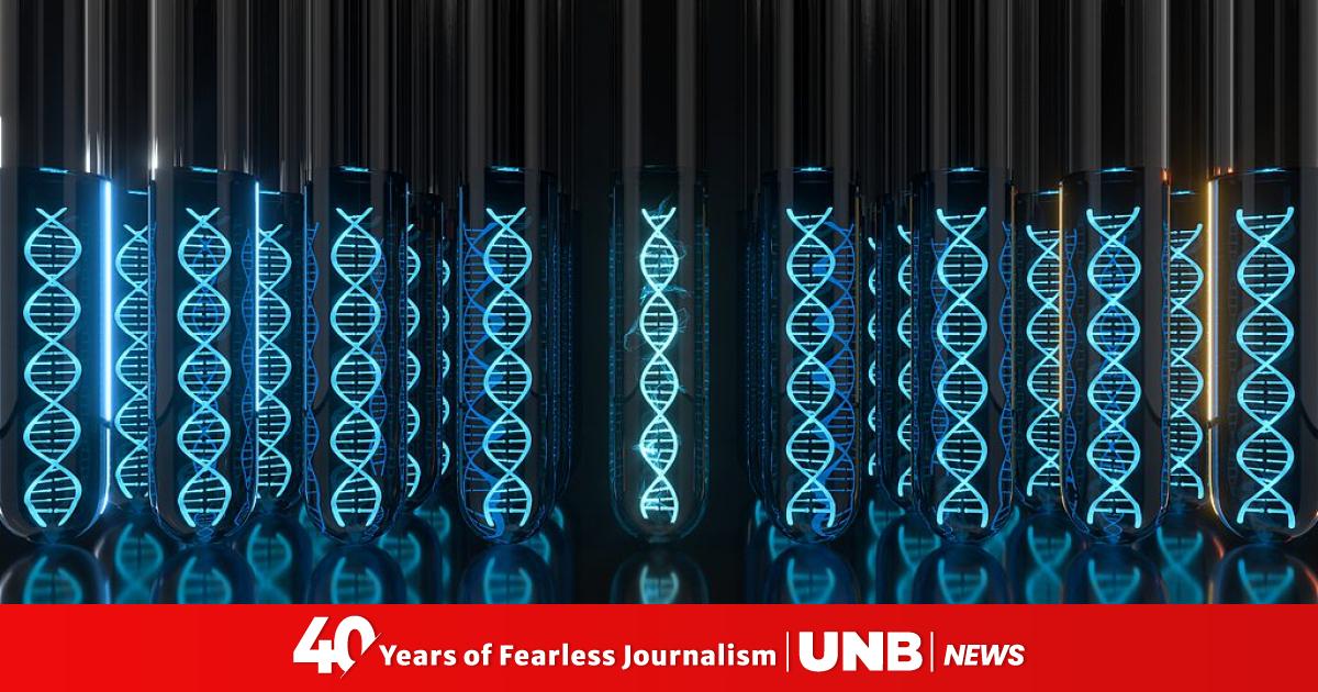 Chinese researchers achieve breakthrough in DNA-based storage of brain ...