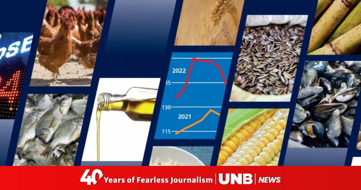 Global food import costs near record $2 trillion, hurting poorest