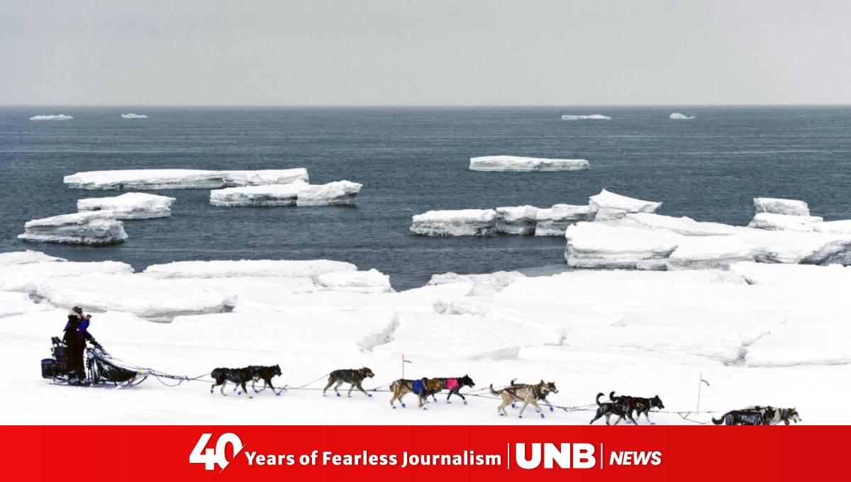 Pace of Bering Sea changes startles scientists